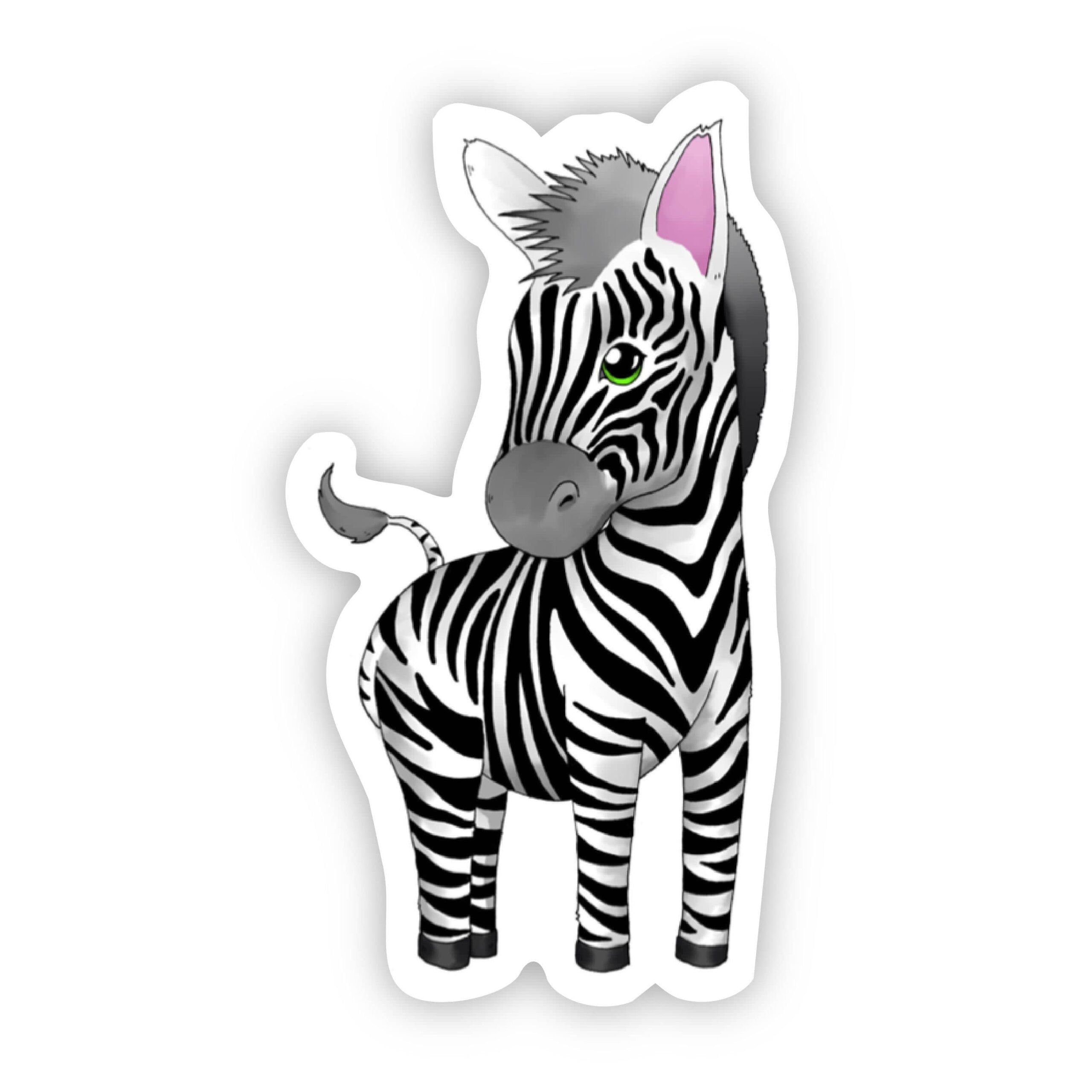 Baby Zebra Sticker – StickerStory.co